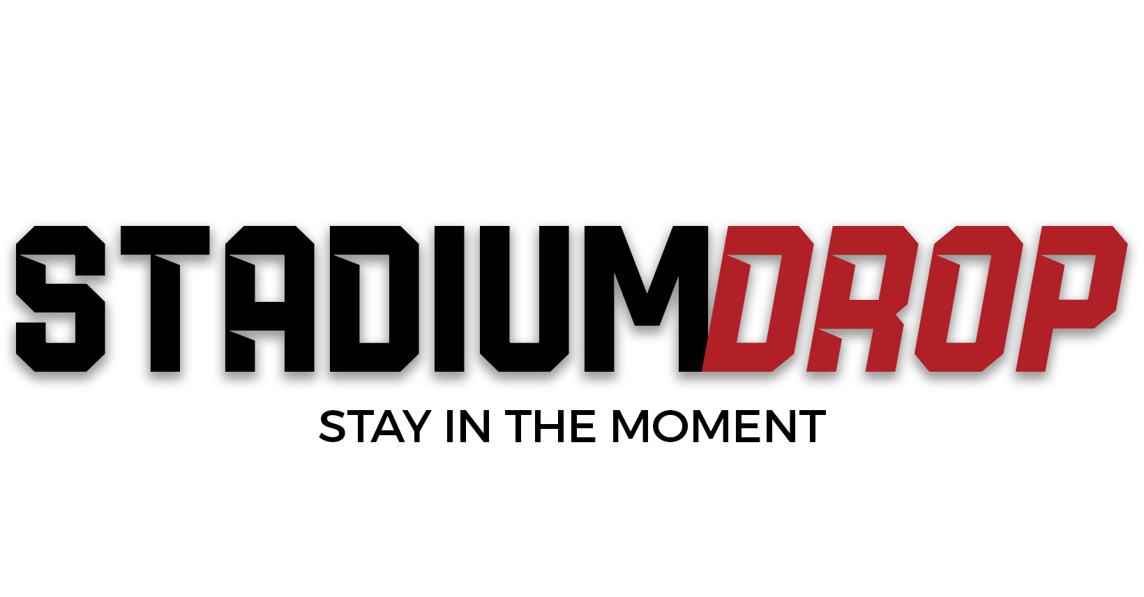 StadiumDrop | Your in-seat delivery app!